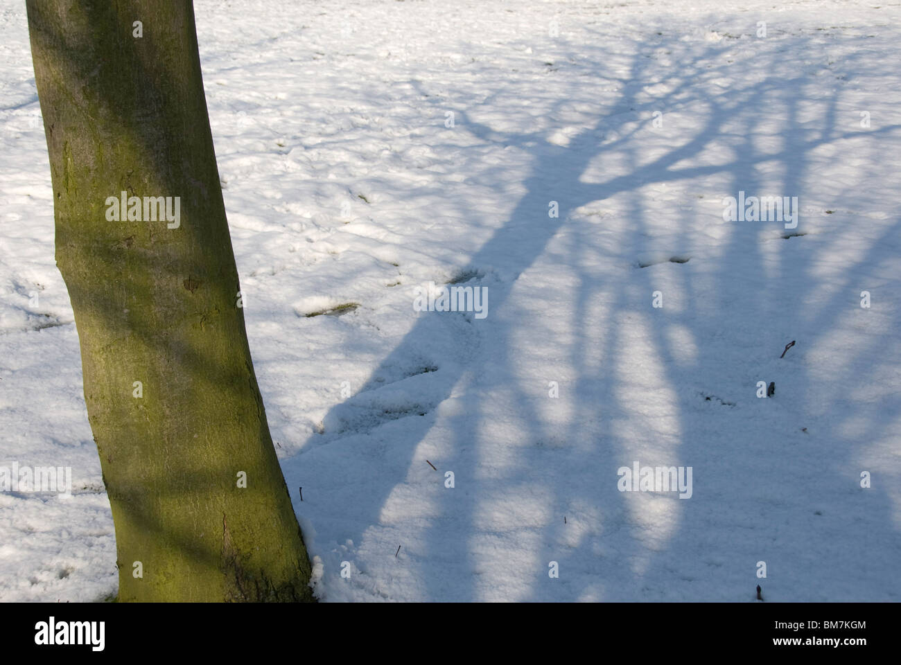 Shadows cast in snow hi-res stock photography and images - Alamy