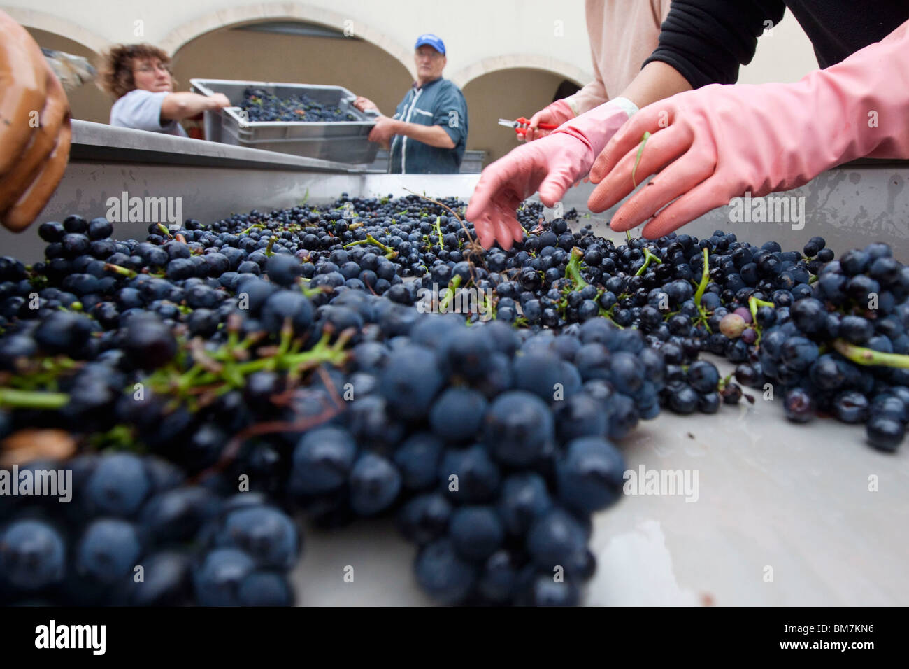 Vine cooperative hi-res stock photography and images - Alamy
