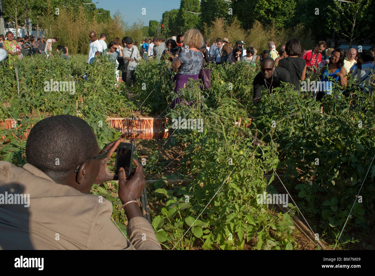 Paris, France, Champs-Elysees, French Farmers Giant Garden, City Street ...