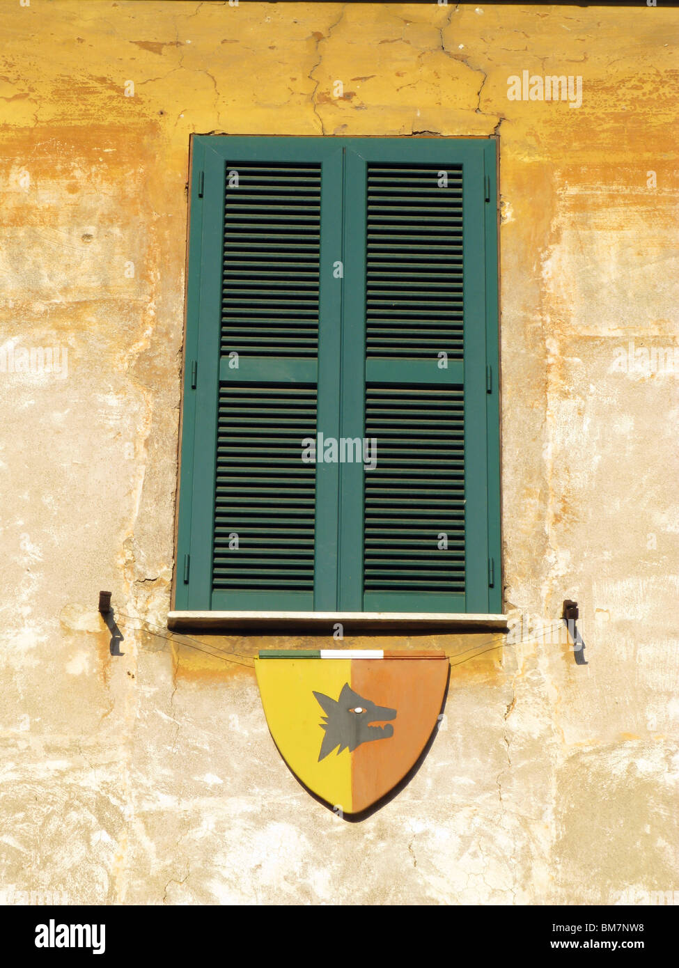 Team shield hi-res stock photography and images - Alamy