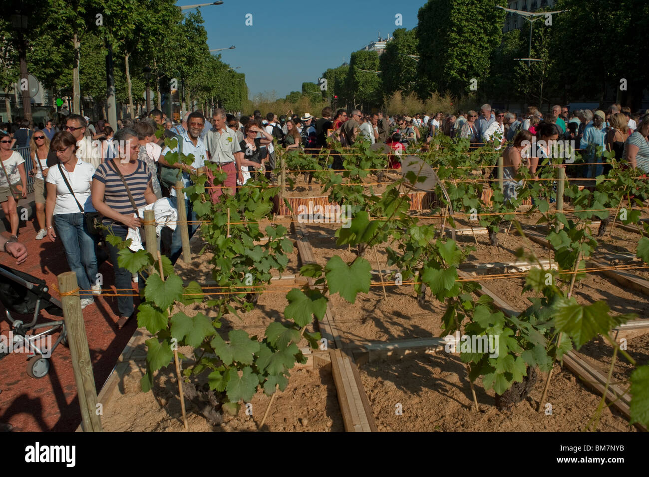 Paris, France, Large Crowd People, Tourists, Visiting Champs-Elysees ...