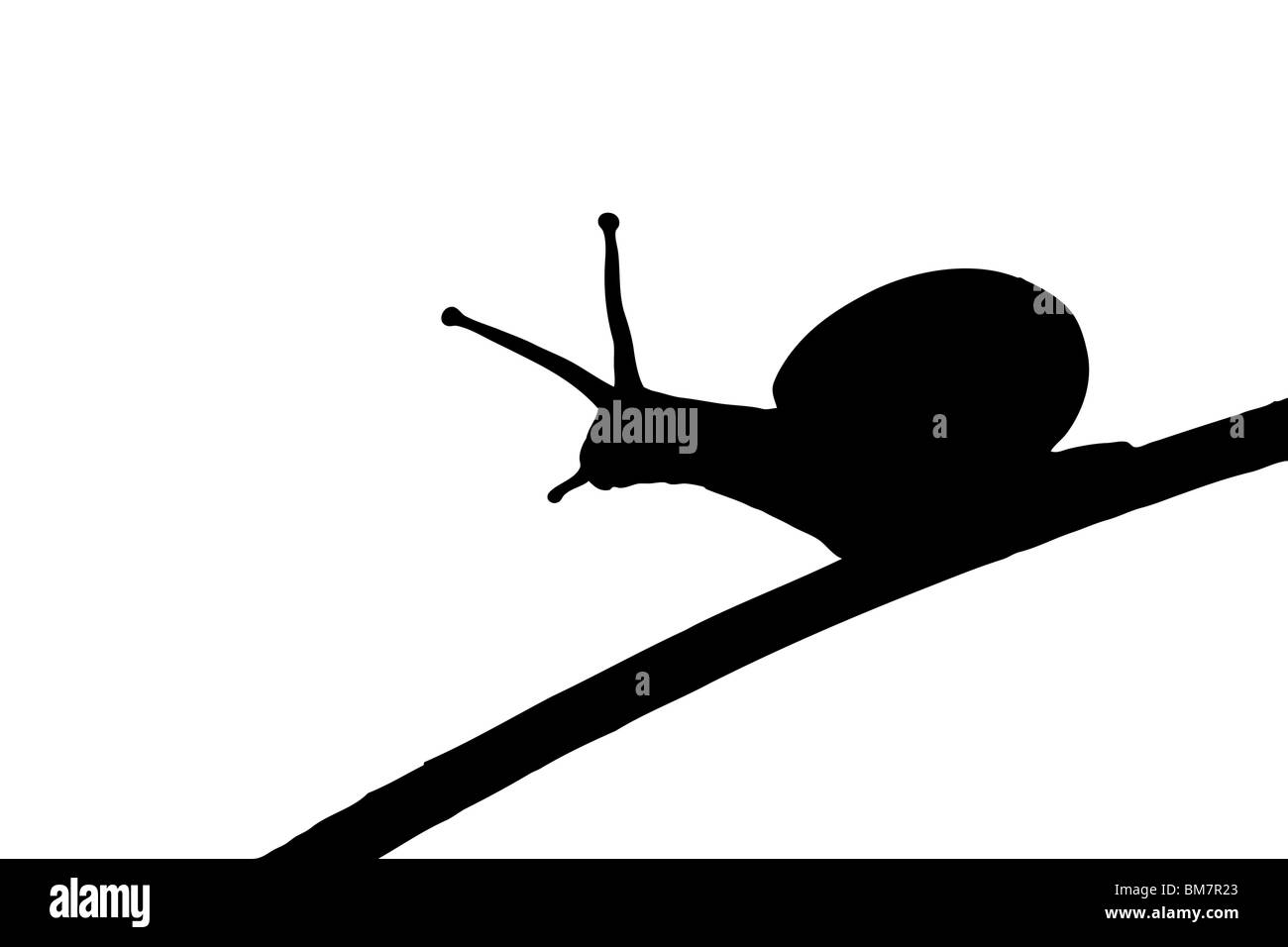 Silhouette shot small house hi-res stock photography and images - Alamy