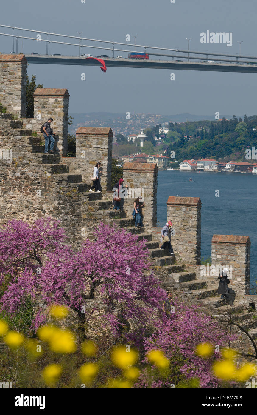 Hisar fortress and Fatih Sultan Mehmet Bridge,Judas-tree,Bosphorus ...