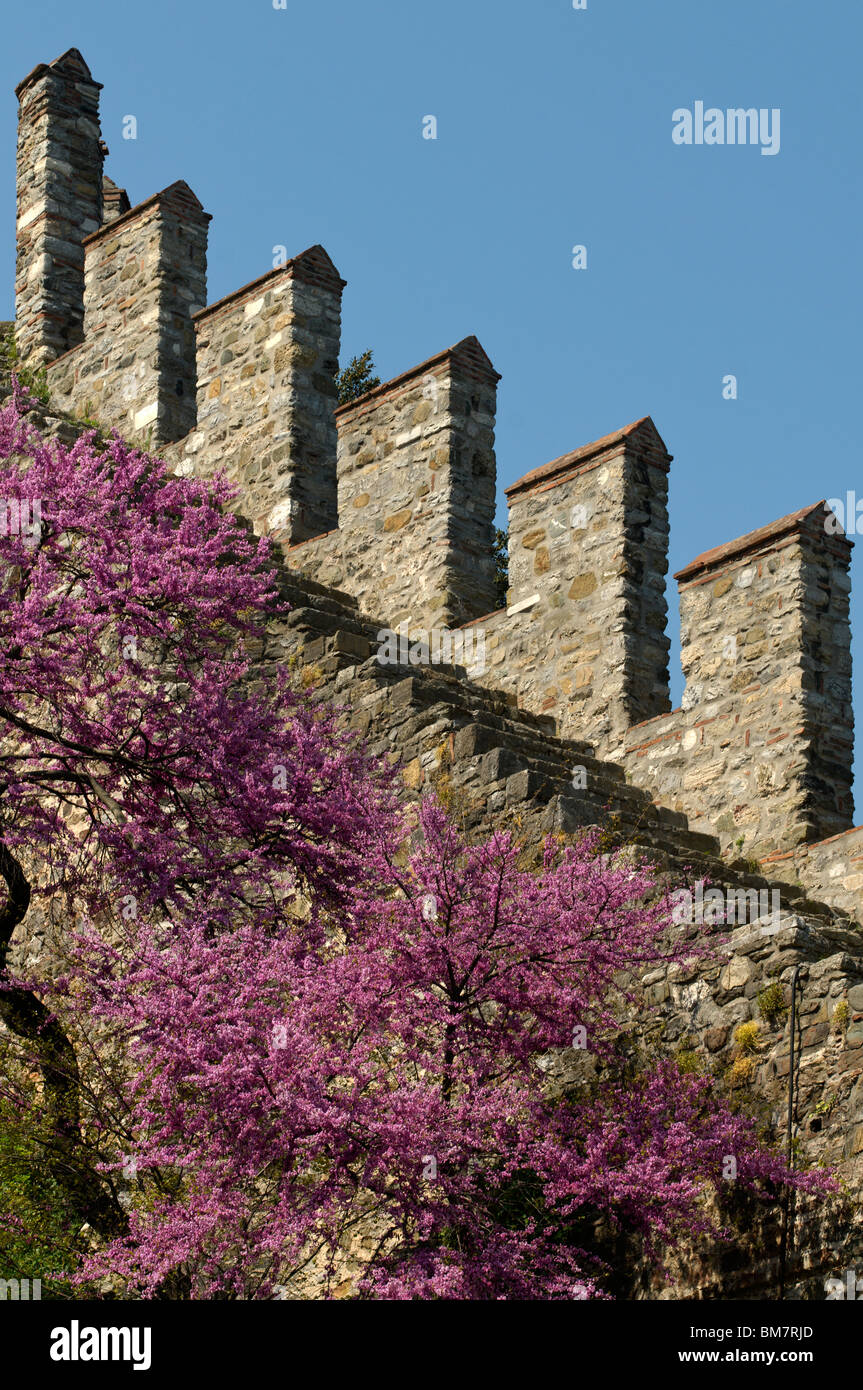 Hisar hi-res stock photography and images - Alamy