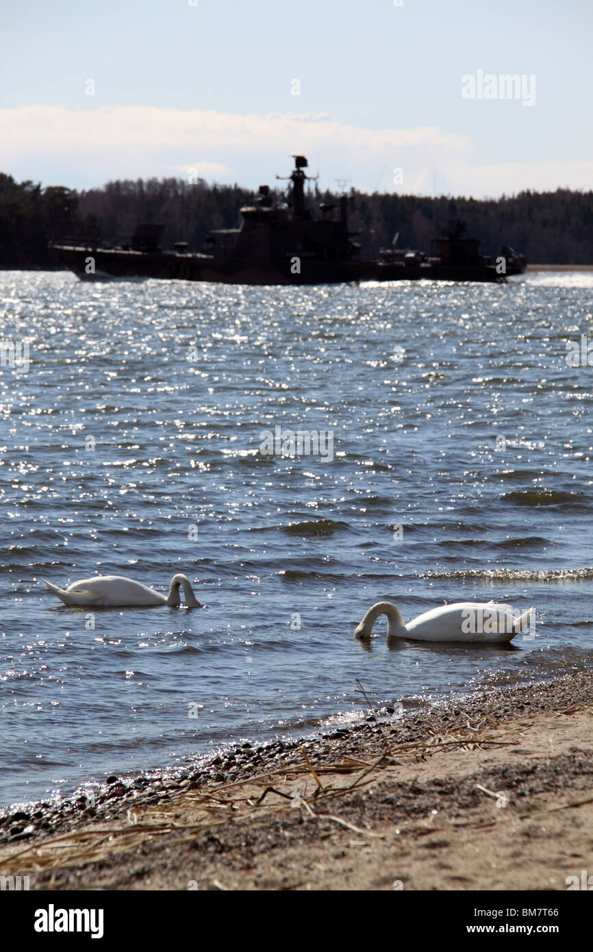 Swans and battleship Stock Photo - Alamy