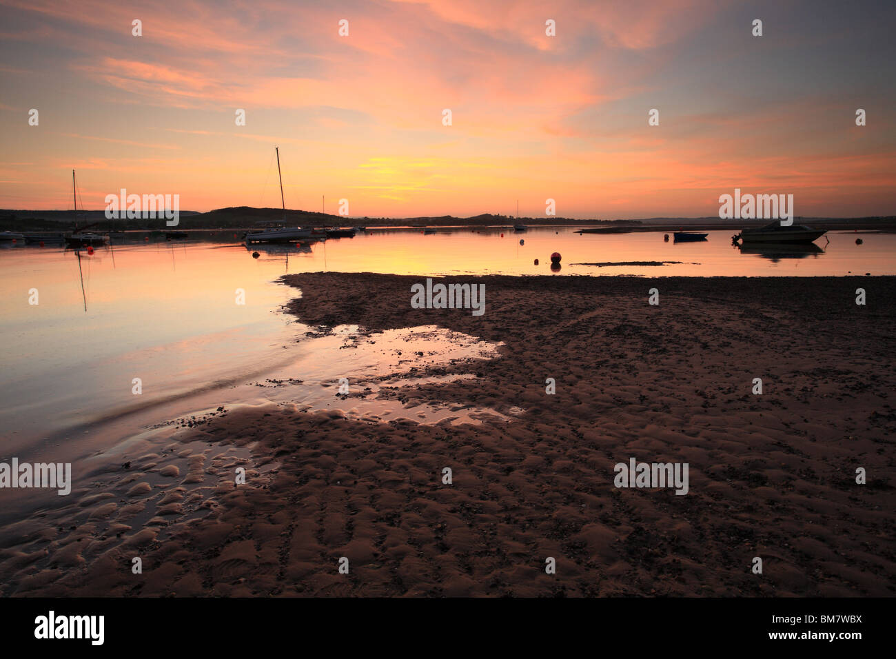 Devon river exe estuary hi-res stock photography and images - Alamy