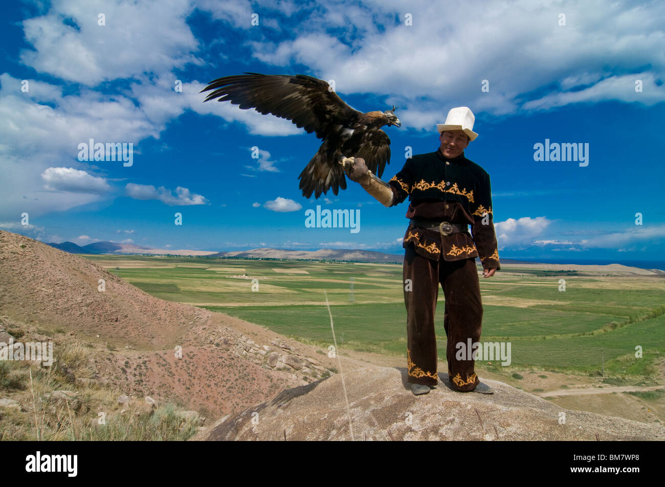 Eagle hunts hi-res stock photography and images - Alamy