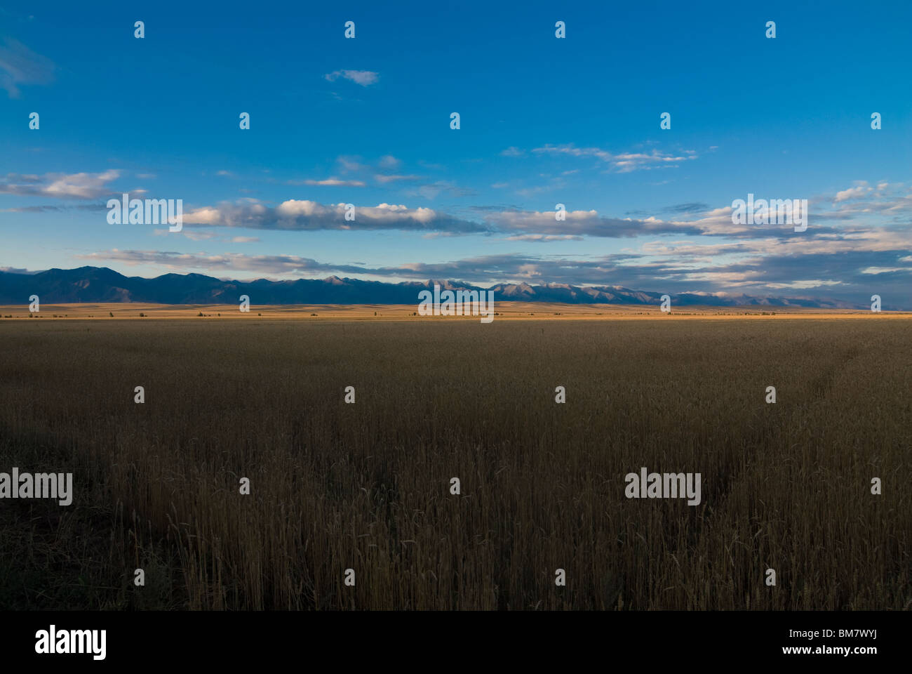 Central Tian Shan Mountain Range, Karkakol, Kyrgyzstan Stock Photo - Alamy