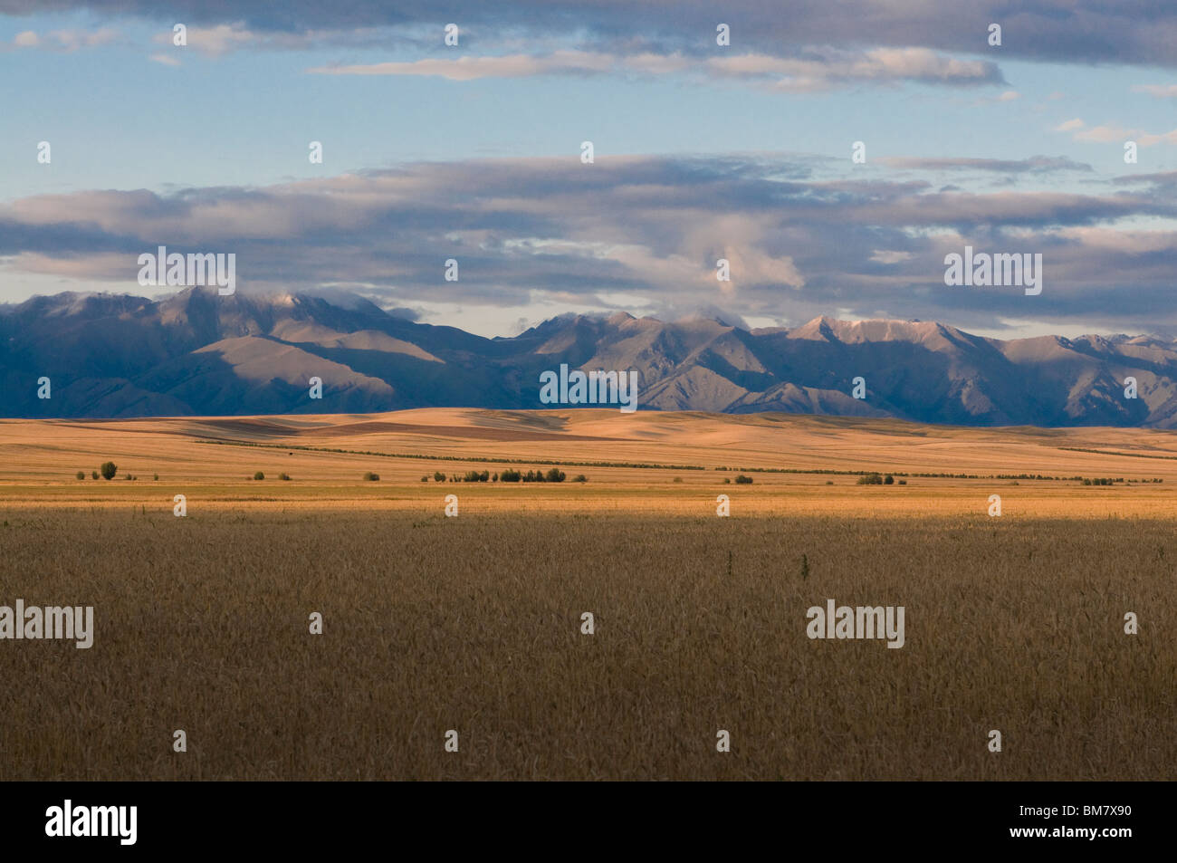 Central Tian Shan Mountain Range, Karkakol, Kyrgyzstan Stock Photo - Alamy