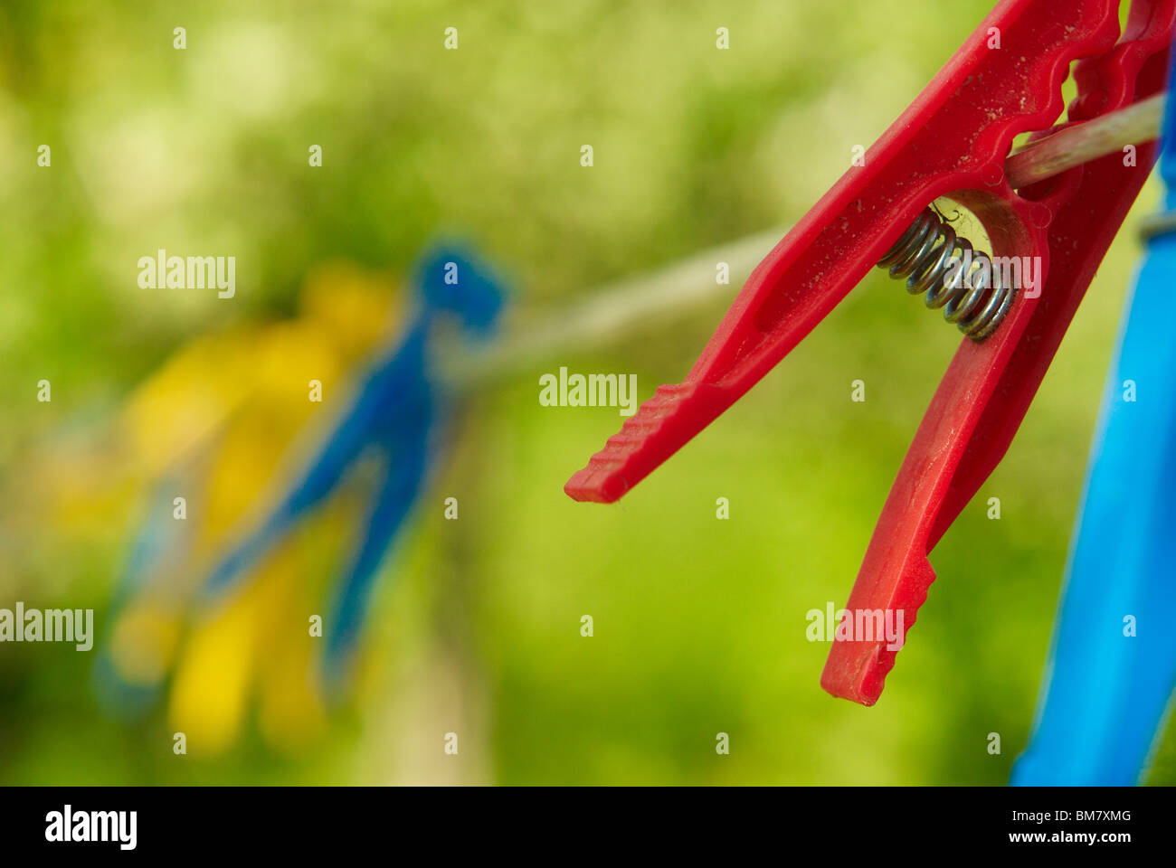 Multicolored pegs pin on a washing line Stock Photo - Alamy