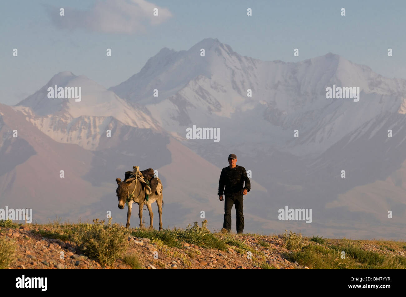 Man with donkey, mountains of Sary Tash in background, Kyrgyzstan Stock ...