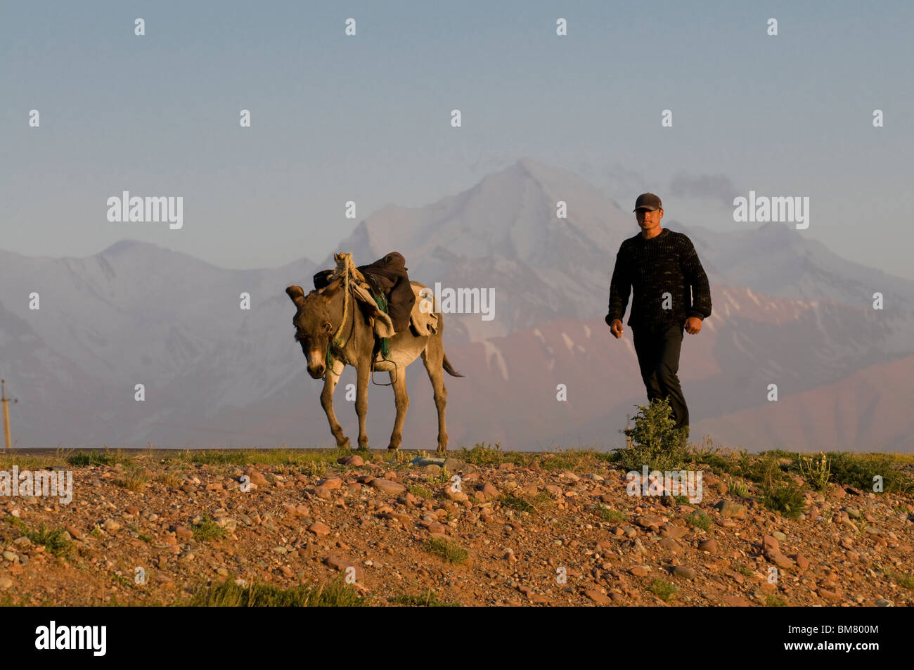 Man with donkey, mountains of Sary Tash in background, Kyrgyzstan Stock ...