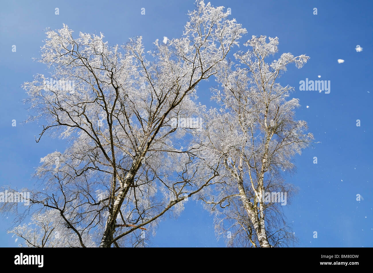 Thawing High Resolution Stock Photography and Images - Alamy