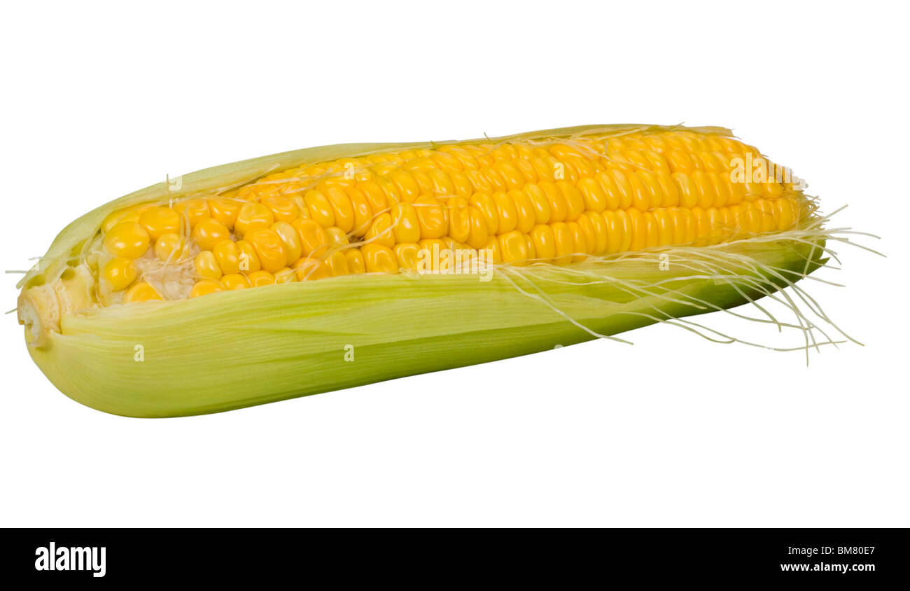 Close-up of a corn cob Stock Photo - Alamy