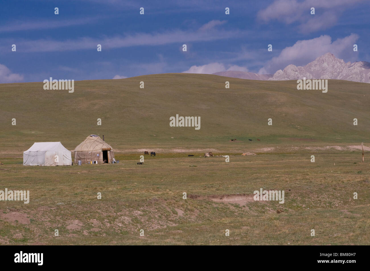 Yurt central asia nomads hi-res stock photography and images - Alamy