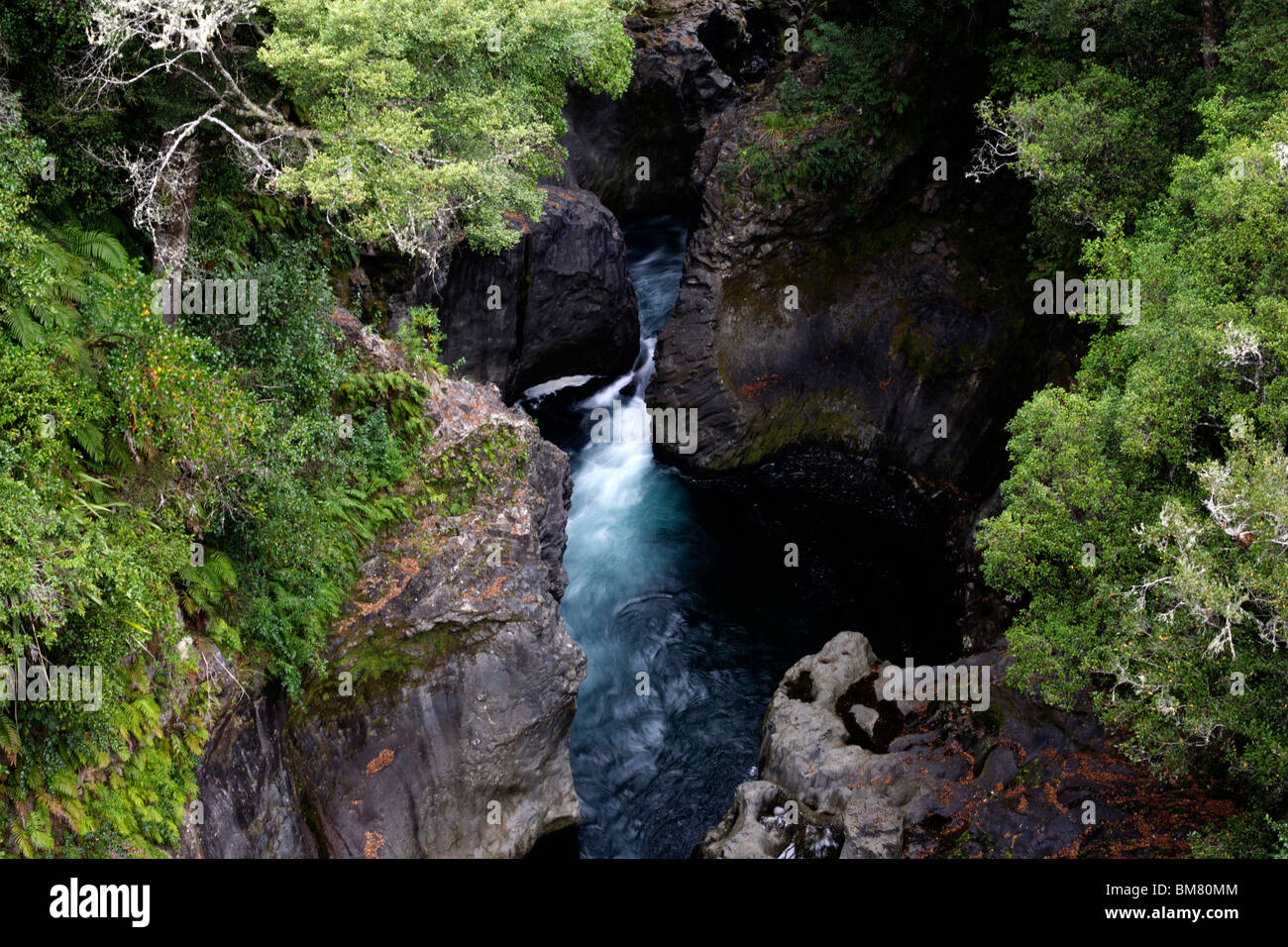 The Tongariro River near Lake Taupo in New Zealand Stock Photo - Alamy