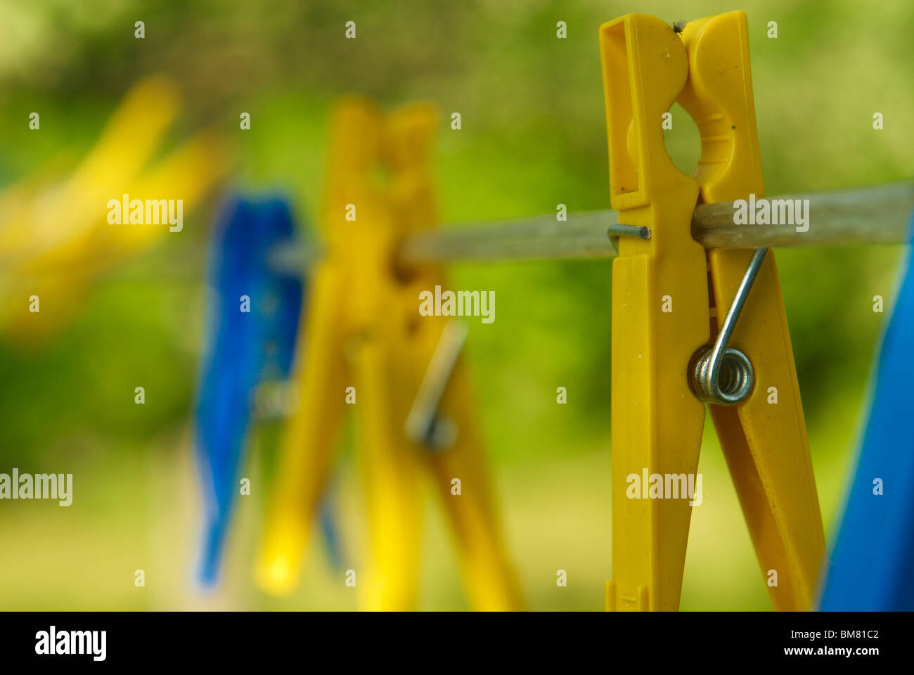 Multicolored pegs pin on a washing line Stock Photo - Alamy