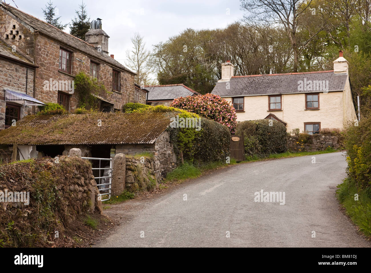 Polyphant hi-res stock photography and images - Alamy