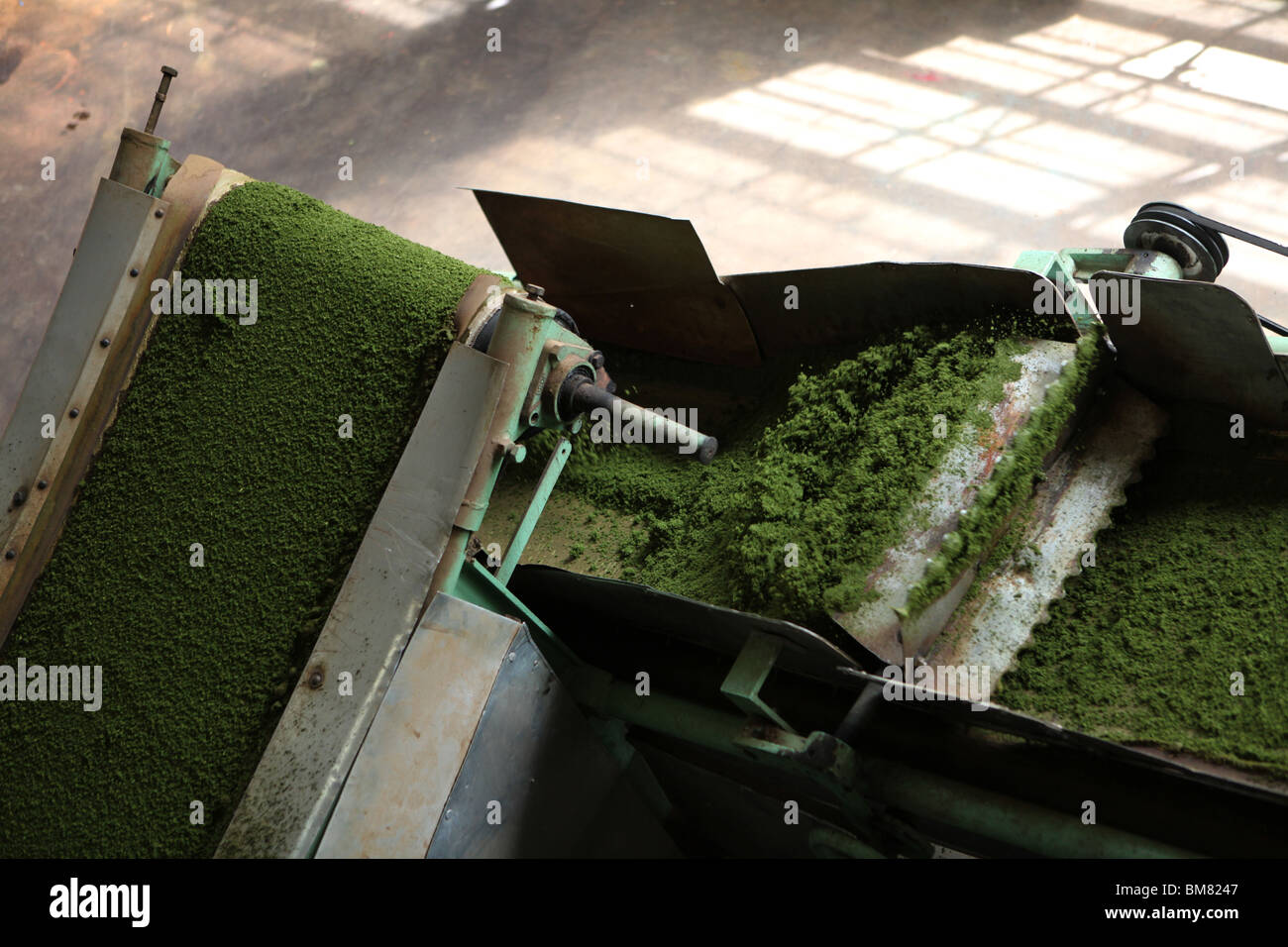 Tea Factory High Resolution Stock Photography and Images - Alamy