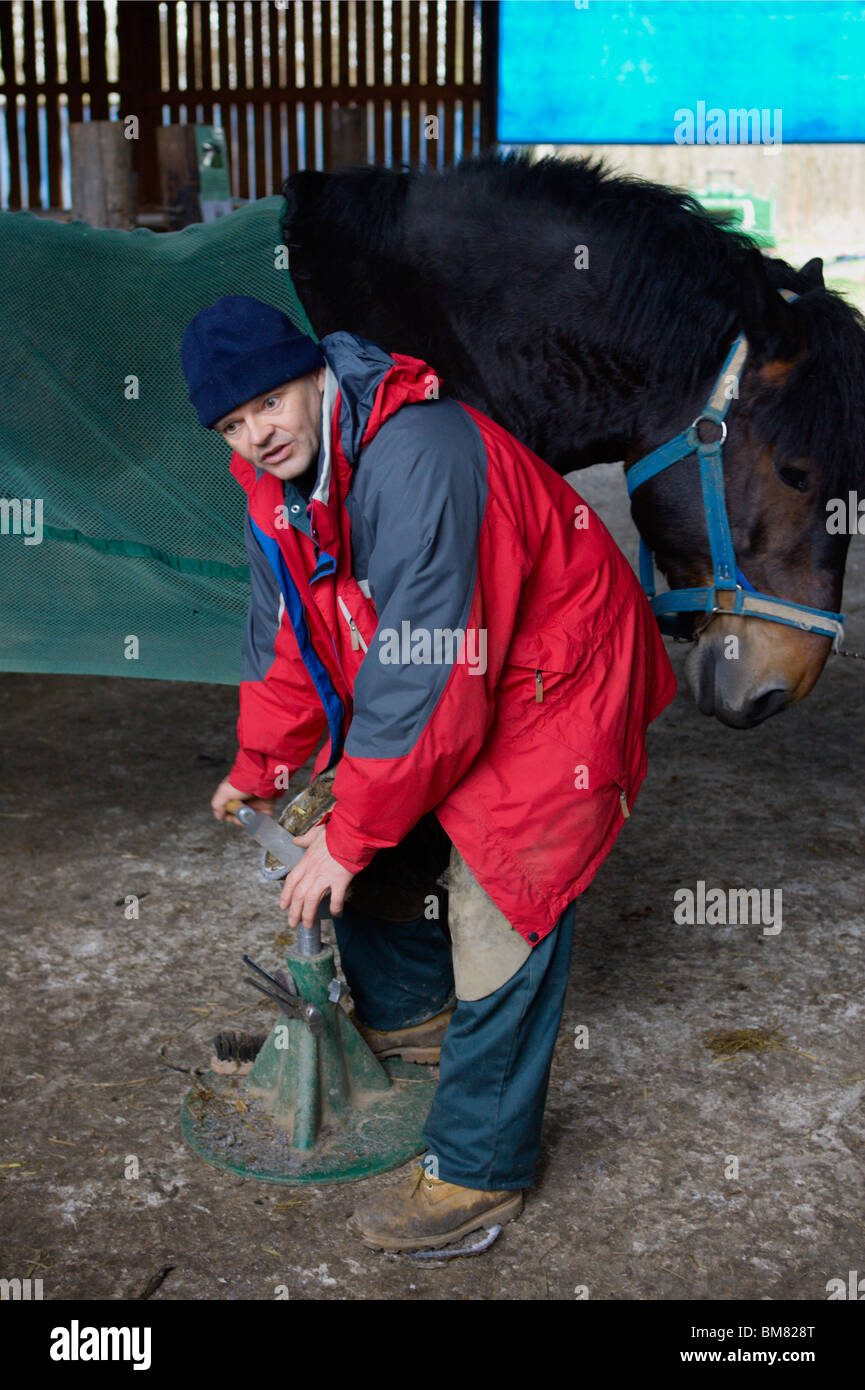 Farrier at work Stock Photo - Alamy