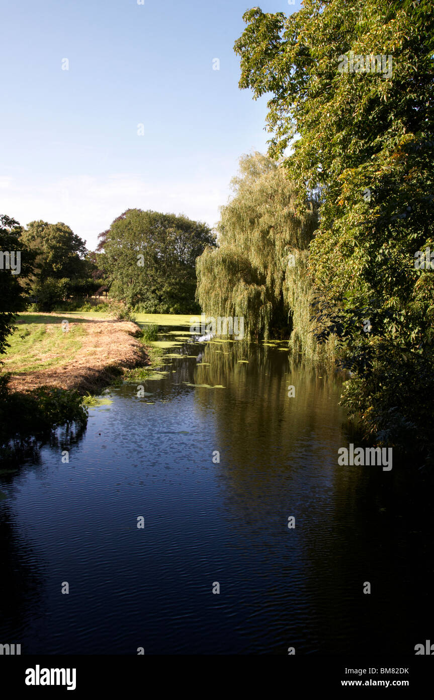 A stream in summer in the countryside Stock Photo - Alamy