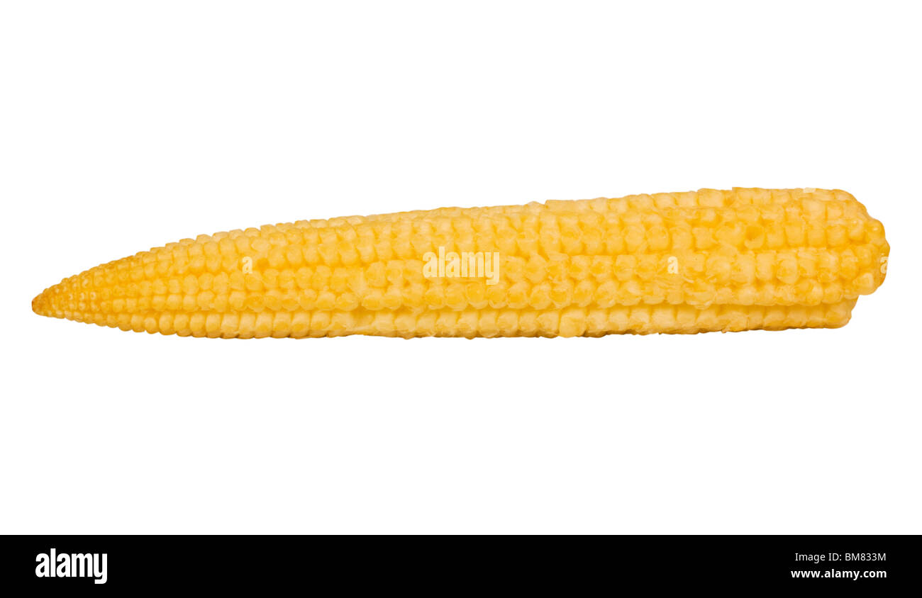 Cob close Cut Out Stock Images & Pictures - Alamy