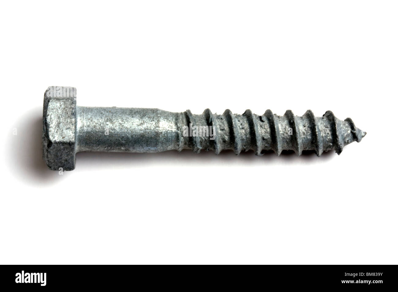 One screw isolated on white background Stock Photo - Alamy