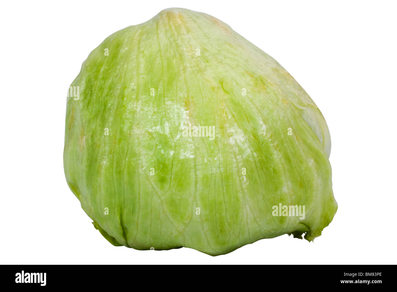 Close-up of a cabbage Stock Photo - Alamy