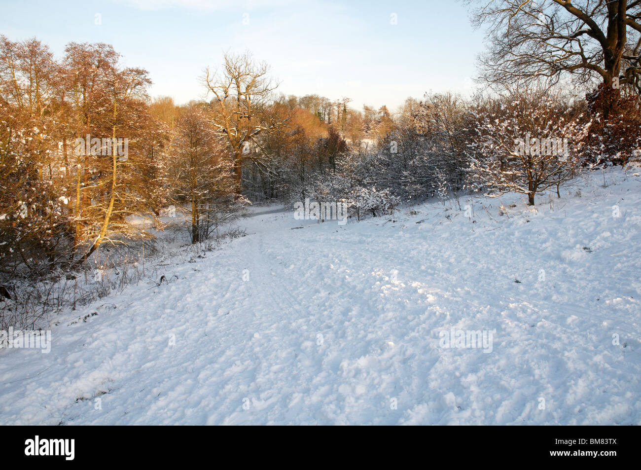 Field snow winter hi-res stock photography and images - Alamy
