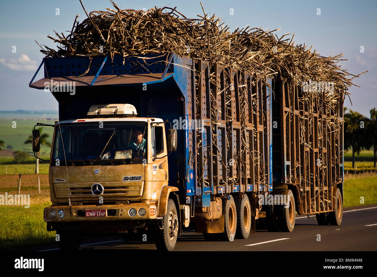 Sugarcane transport High Resolution Stock Photography and Images - Alamy