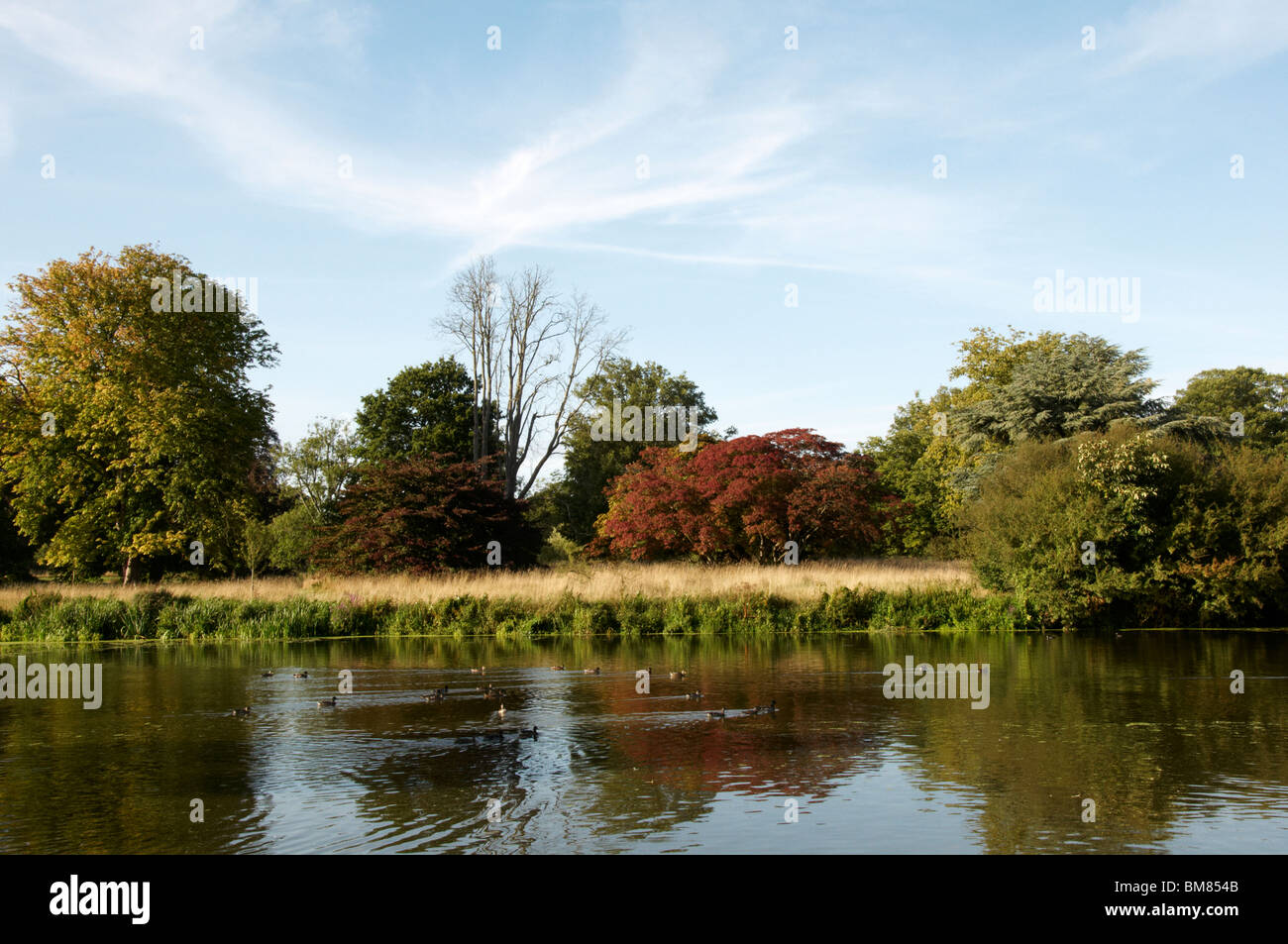 A lake in summer in the countryside Stock Photo - Alamy