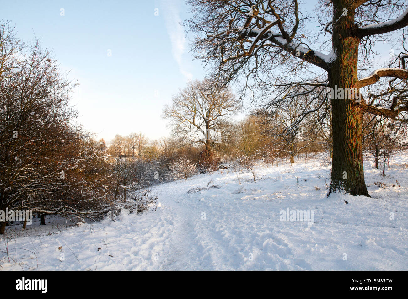 Field snow winter hi-res stock photography and images - Alamy