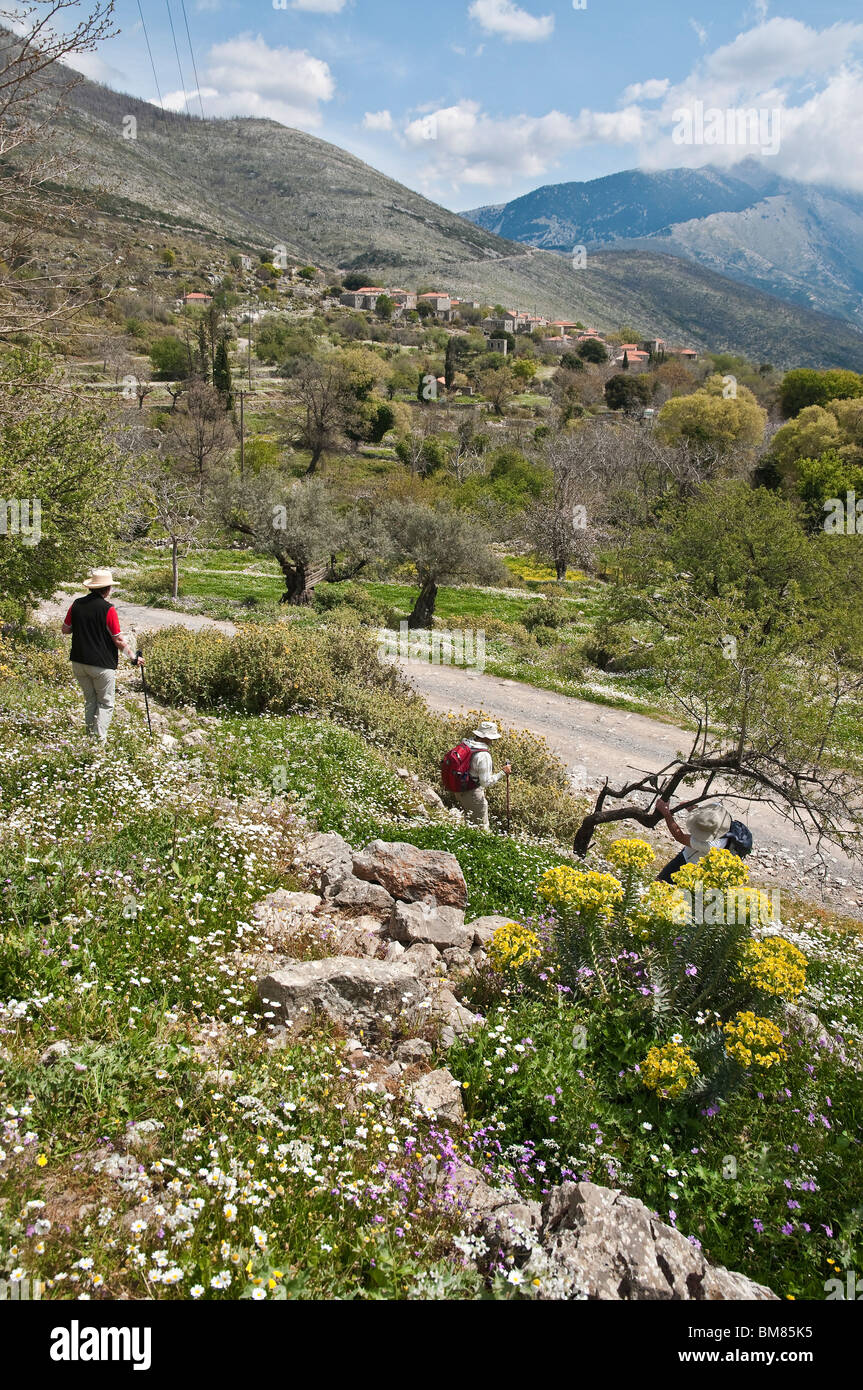 Walkers and wild flowers on a path at Springtime near the village ...