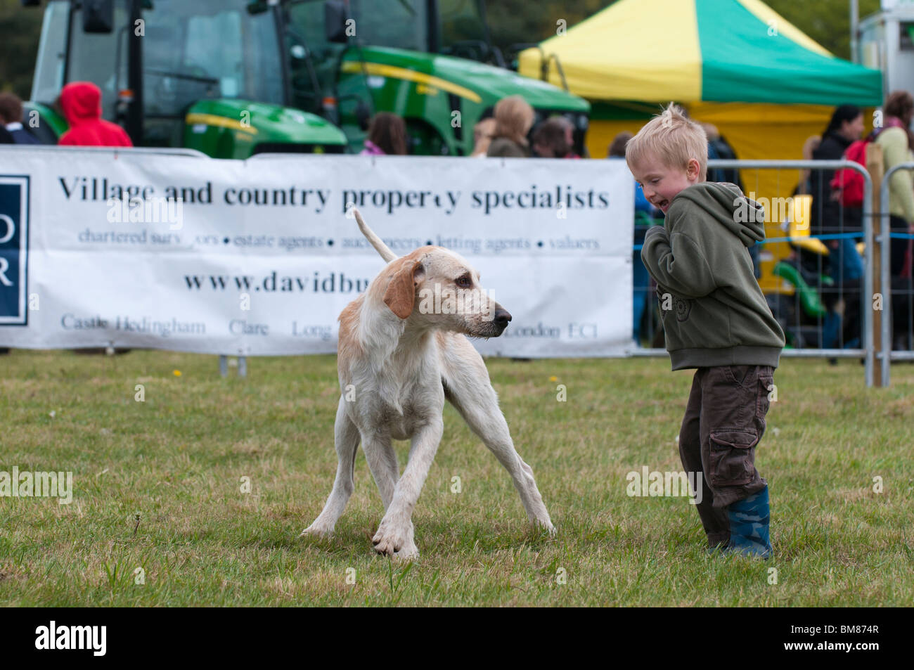 Boy getting to know Essex and Suffolk Hunt fox hounds in the main ring ...