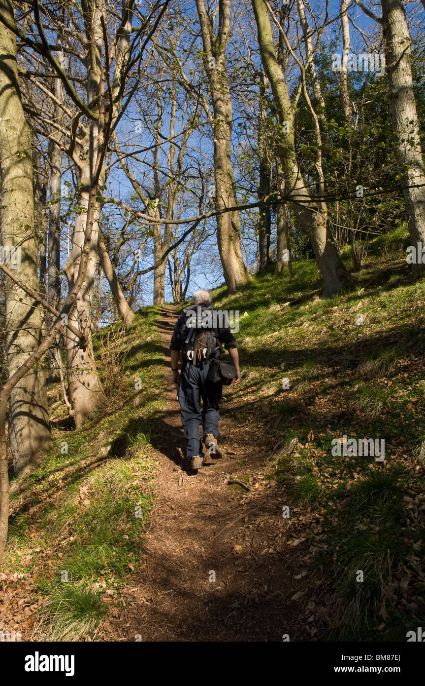 Man walking along footpath in the Black Mountains, Wales, UK, Europe ...