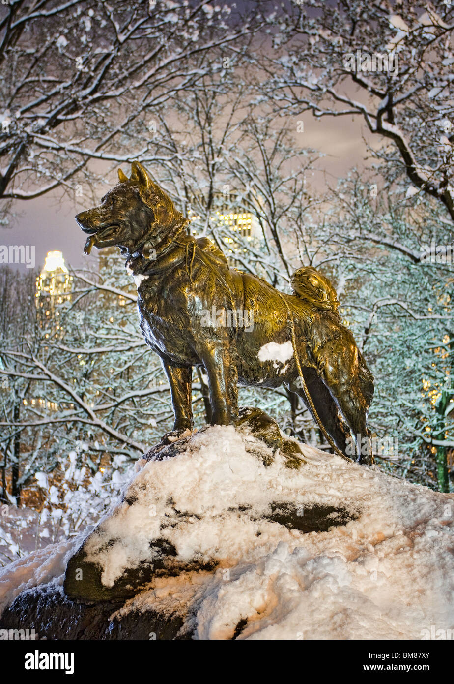 Statue of Balto in New York City's Central Park at night after a ...