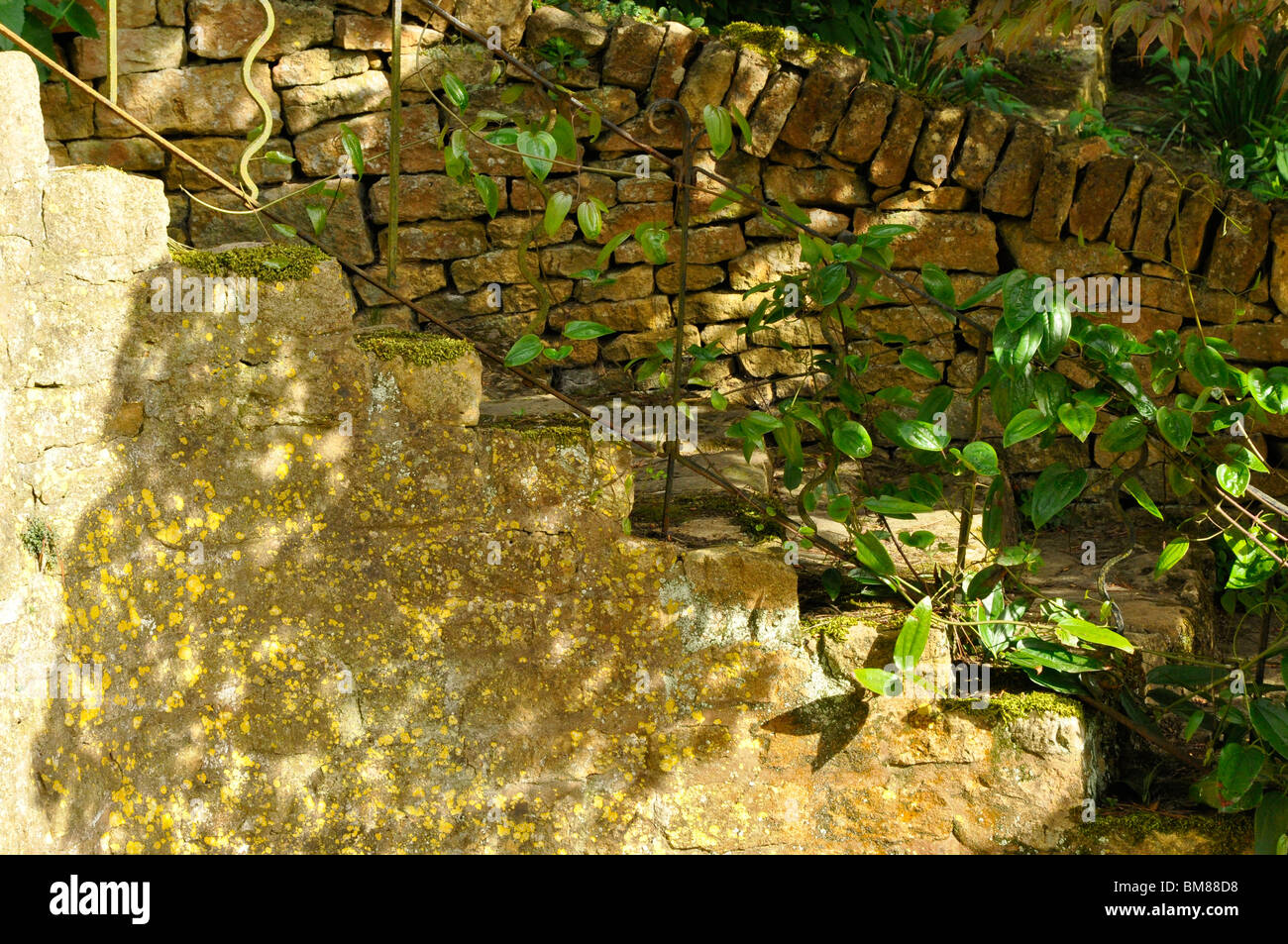 Garden stone steps hi-res stock photography and images - Alamy