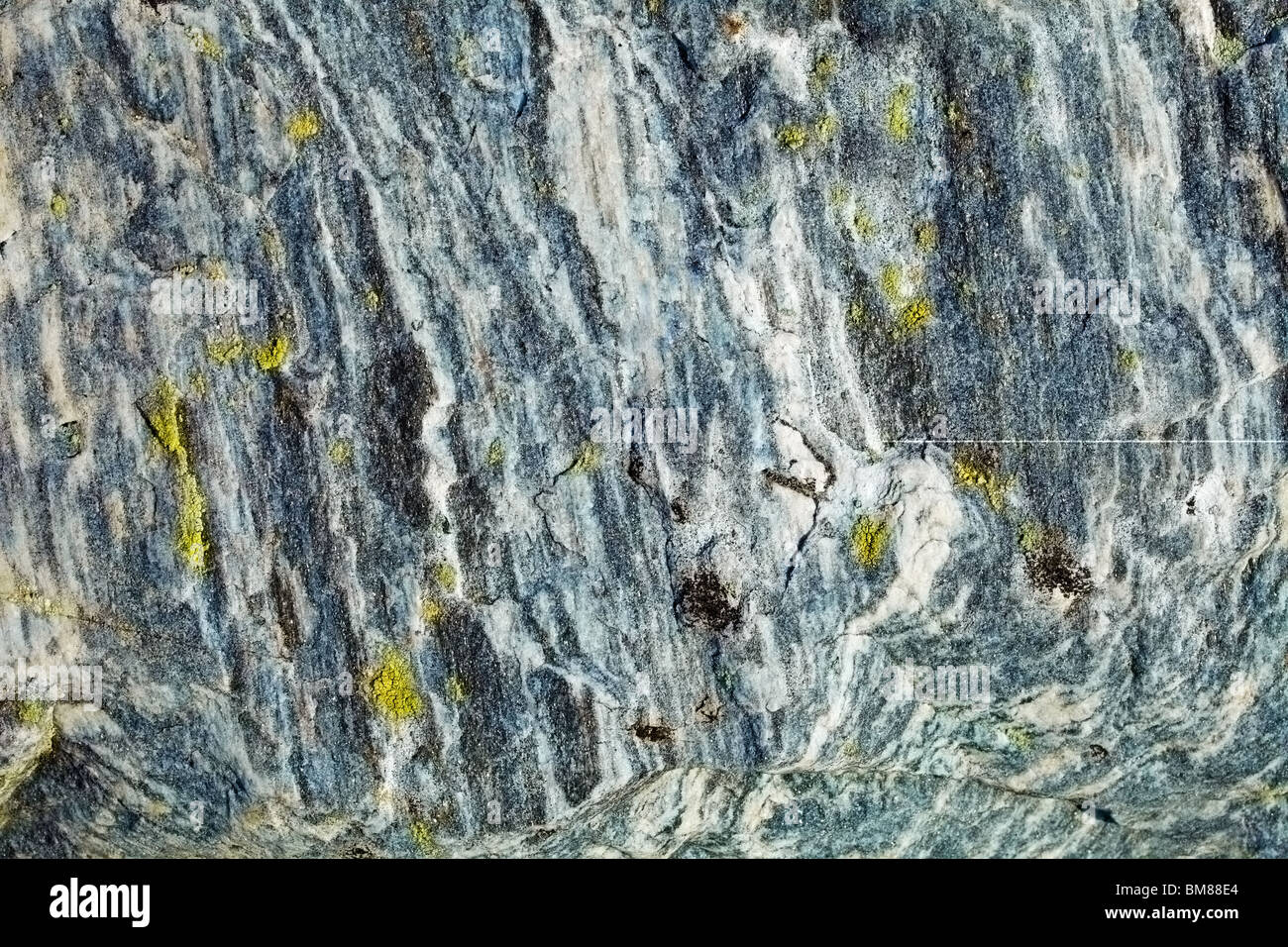 Surface of a granite rock with lichen stains Stock Photo - Alamy