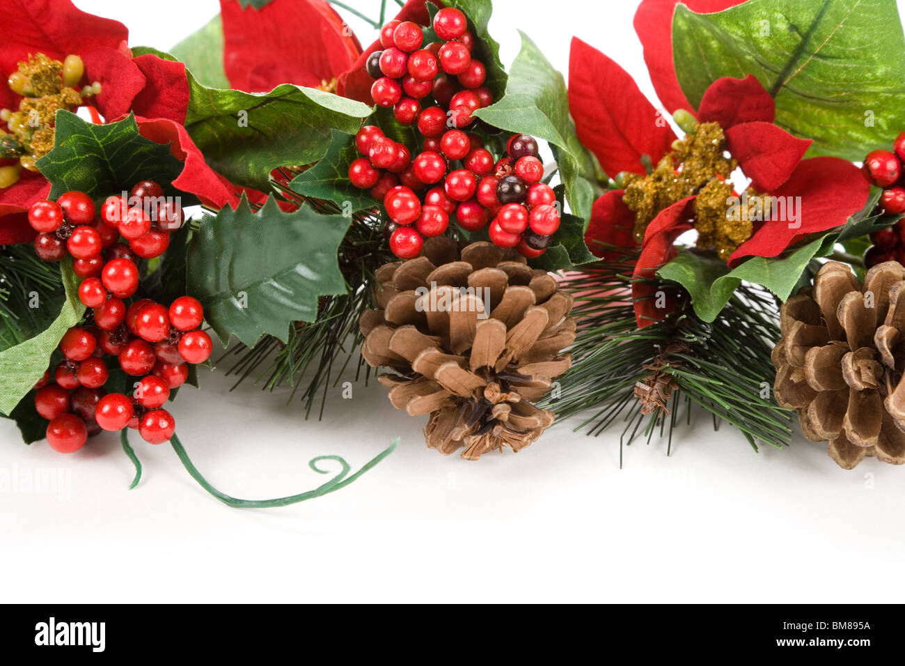 Pinecone flower hi-res stock photography and images - Alamy