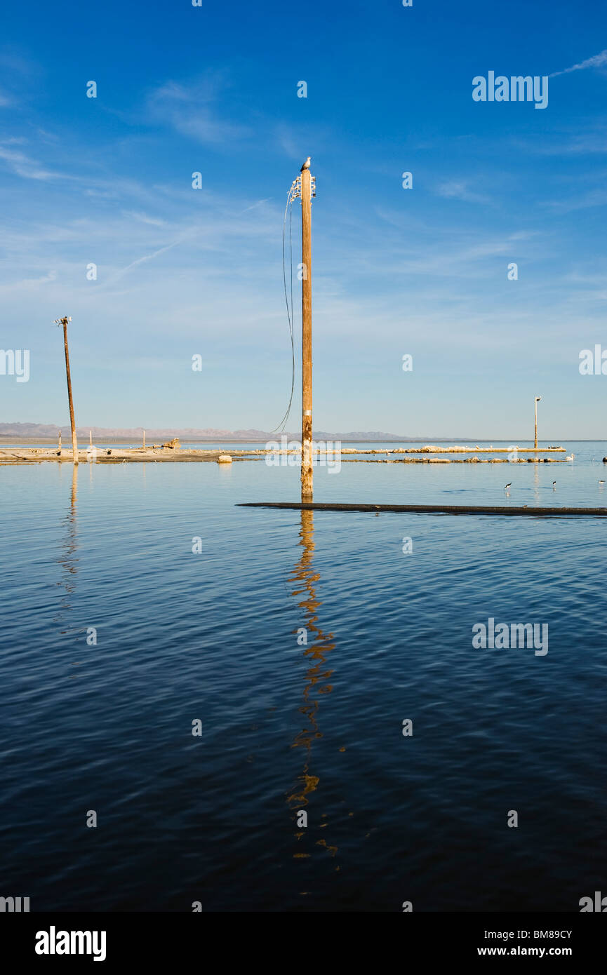 Abandoned telephone poles in water, Bombay Beach, Salton sea ...