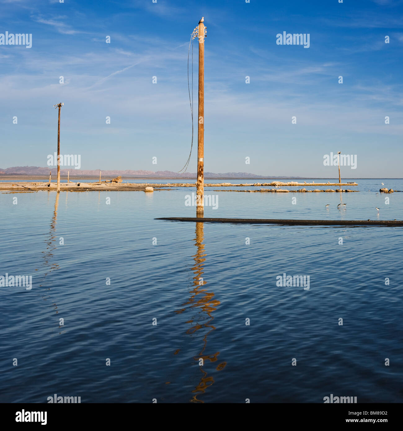 Abandoned telephone poles in water, Bombay Beach, Salton sea ...