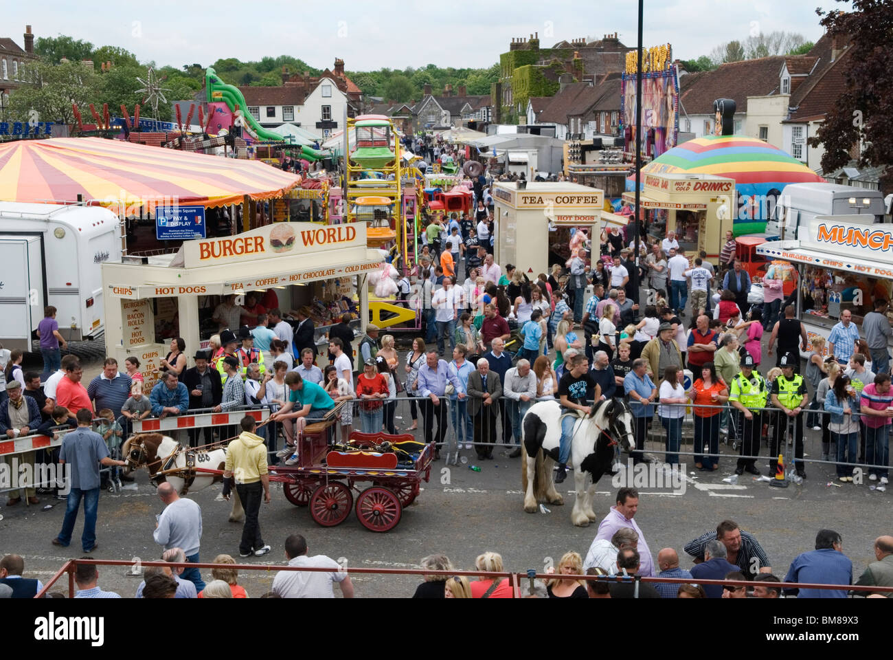 Hampshire horses hi-res stock photography and images - Alamy