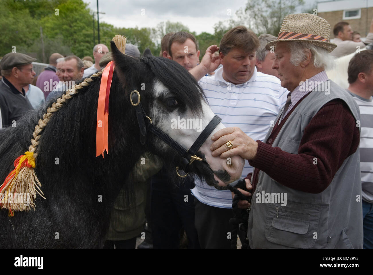 Buying and selling horses hi-res stock photography and images - Alamy