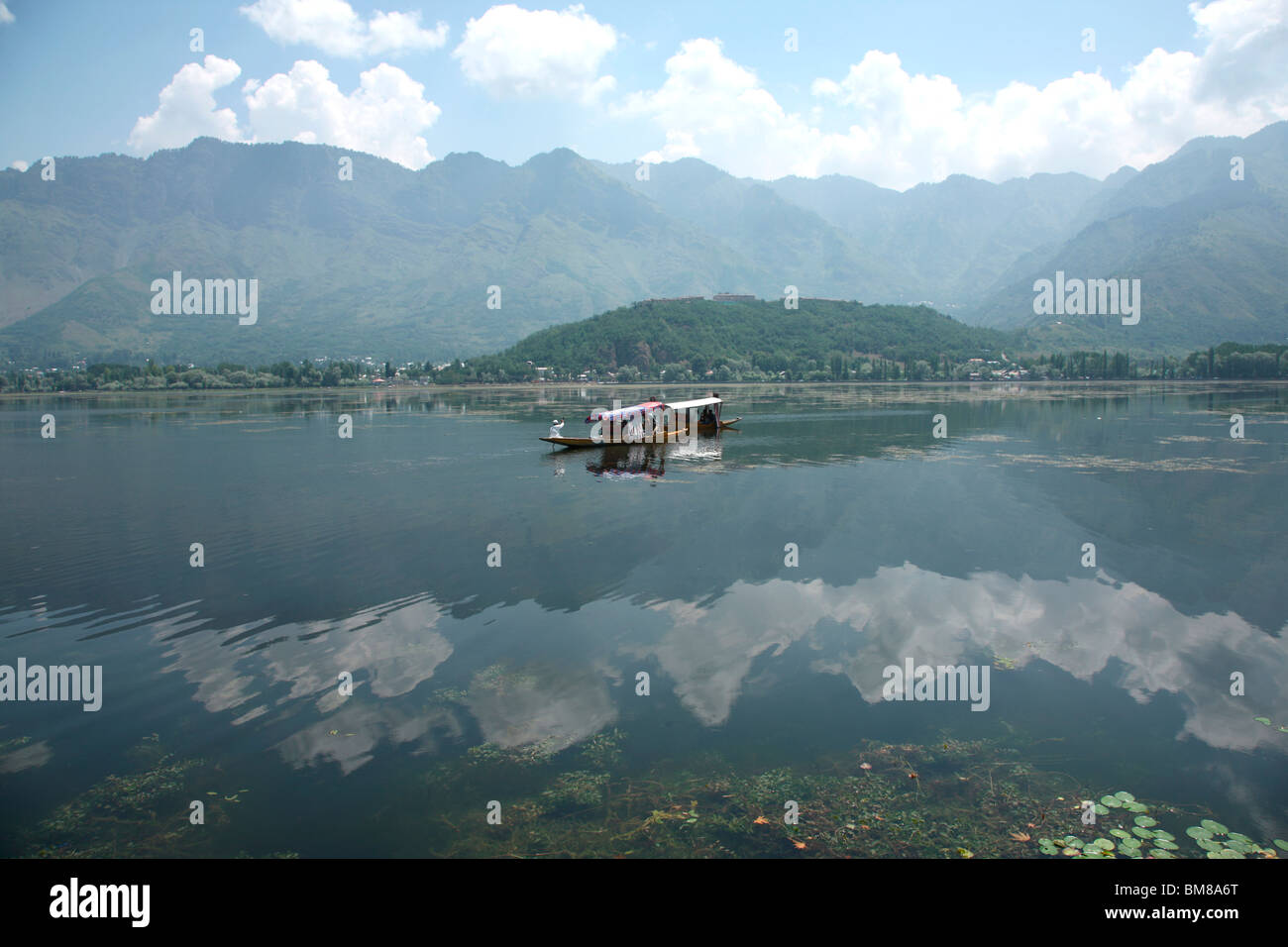 DAL LAKE - SRINAGAR, JAMMU AND KASHMIR, INDIA Stock Photo - Alamy