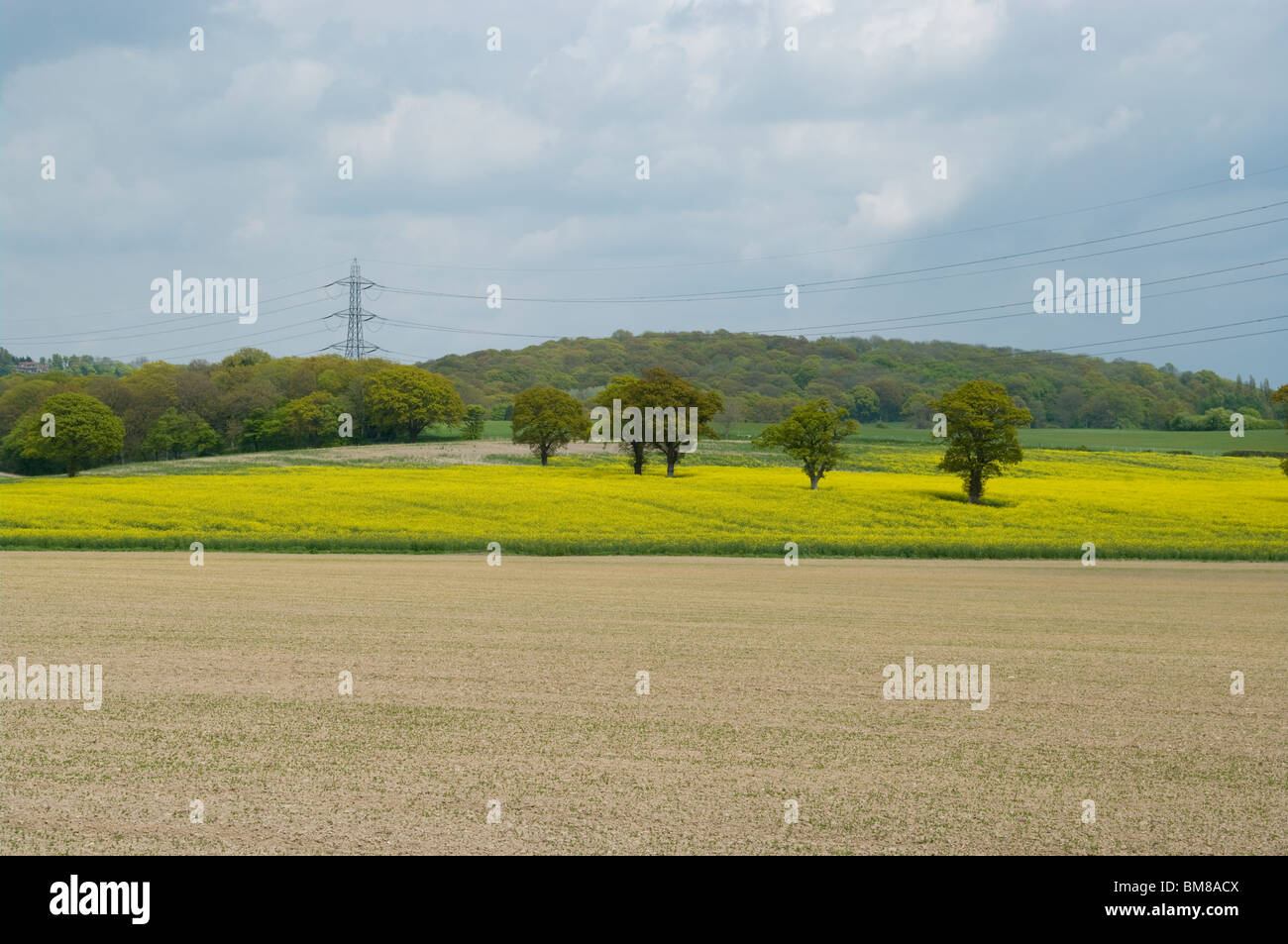 Views of romney marsh hi-res stock photography and images - Alamy