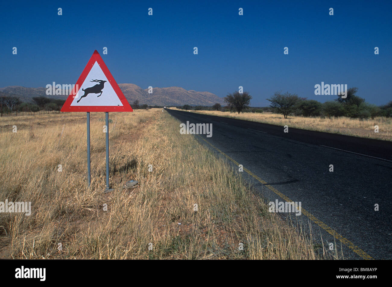 Kudu crossing sign, Namibia Stock Photo - Alamy
