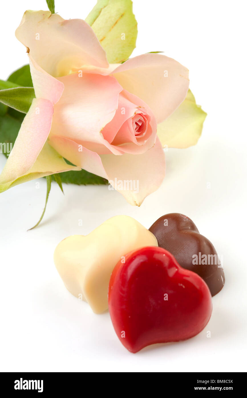chocolates in shape of hearts with pink rose isolated on white ...
