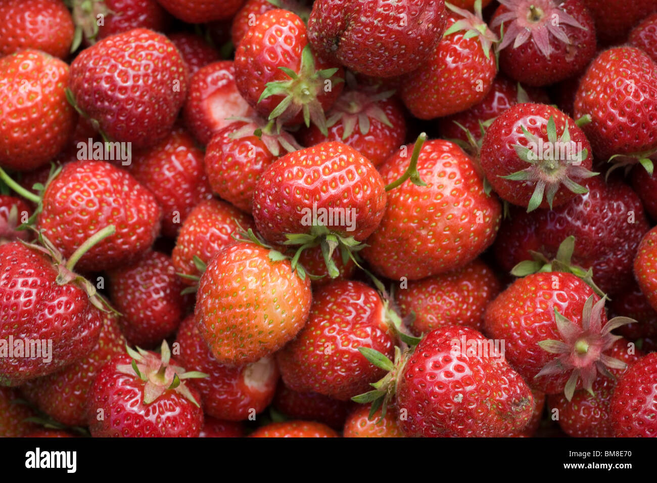 4 strawberries hi-res stock photography and images - Alamy