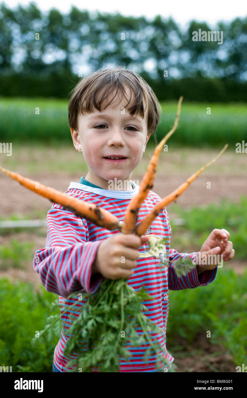 Orange crocs hi-res stock photography and images - Alamy
