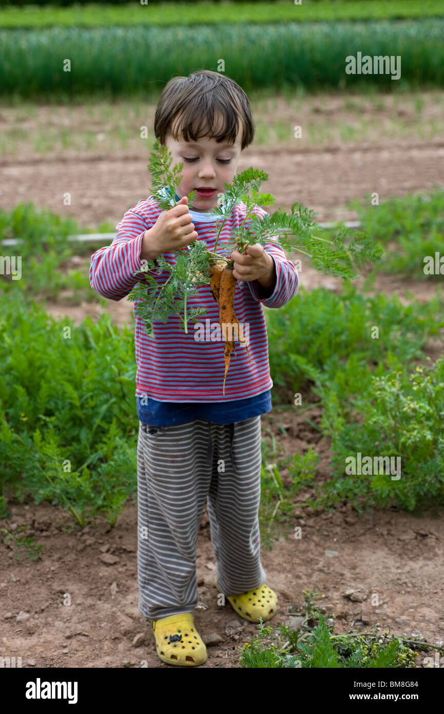 Boy digging vegetables hi-res stock photography and images - Alamy